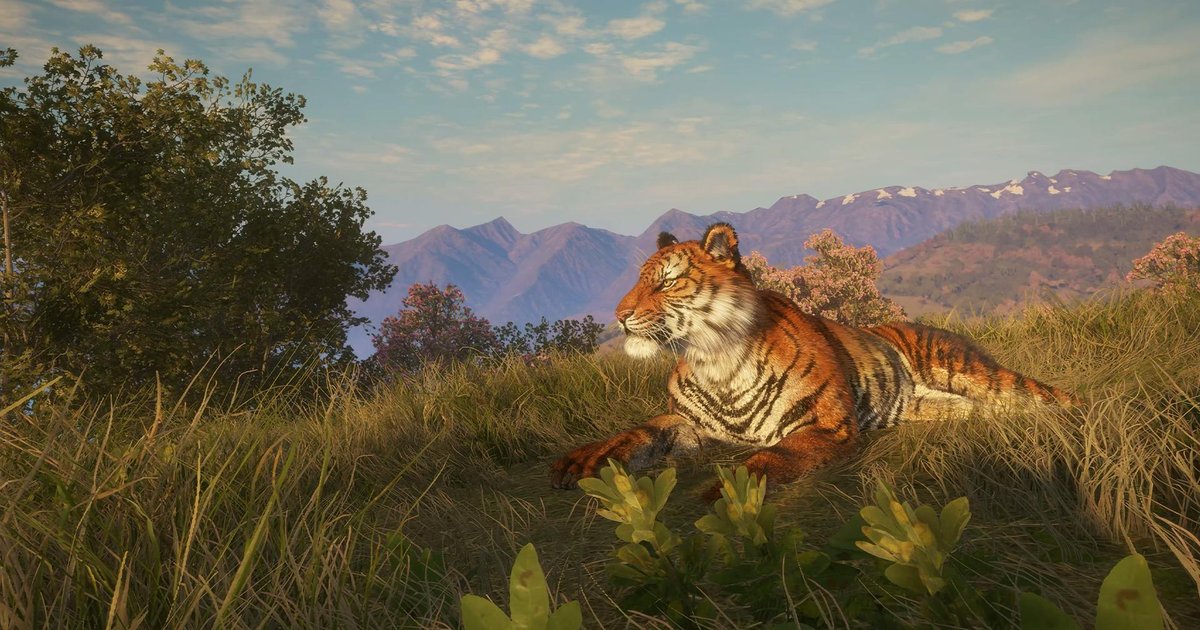 Sundarpatan Nepal Hunting Reserve Out Now - Avalanche Studios Group