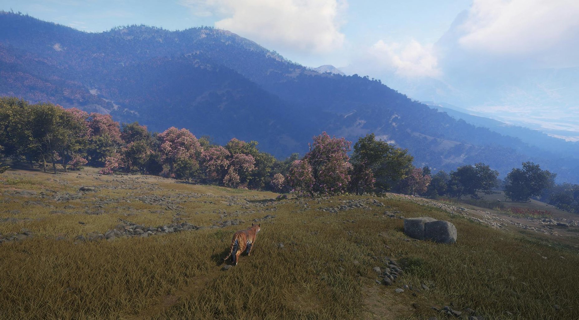 Sundarpatan Nepal Hunting Reserve Out Now - Avalanche Studios Group
