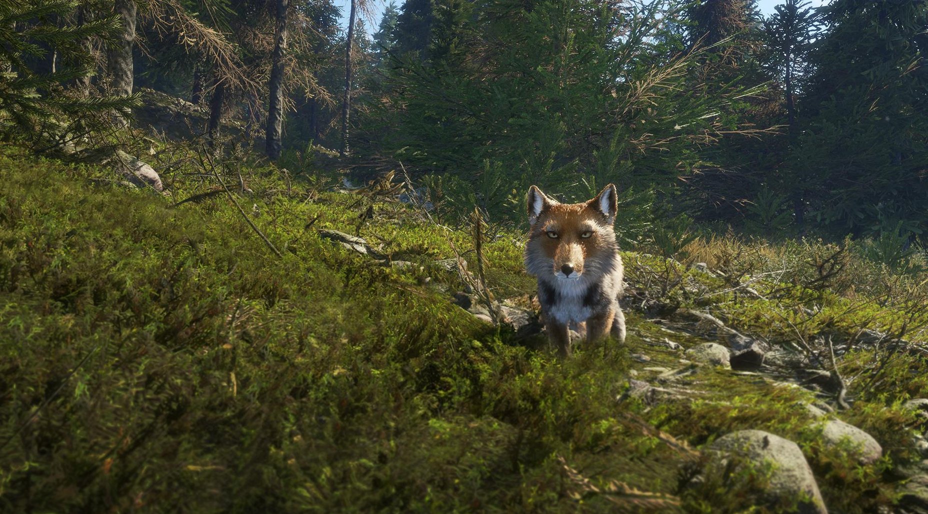 Sundarpatan Nepal Hunting Reserve Out Now - Avalanche Studios Group